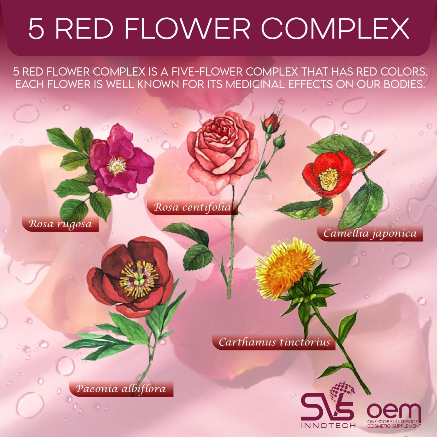 5 RED FLOWER COMPLEX - SVSInnotech